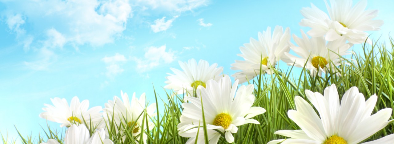 正道夥伴代禱事項 Prayer requests - LOGOS Evangelical Seminary 正道福音神學院